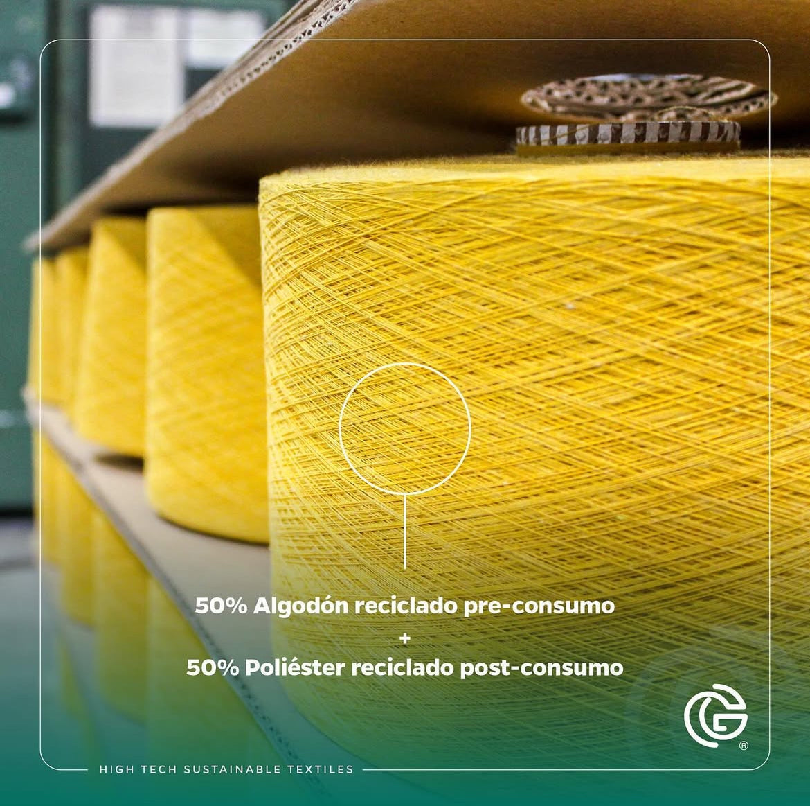 GIOTEX – carmenplazamx